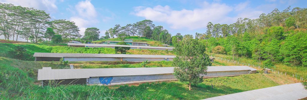 CRYSBRO Farm Sector: Elevating Quality Farming Practices in Sri Lanka's ...