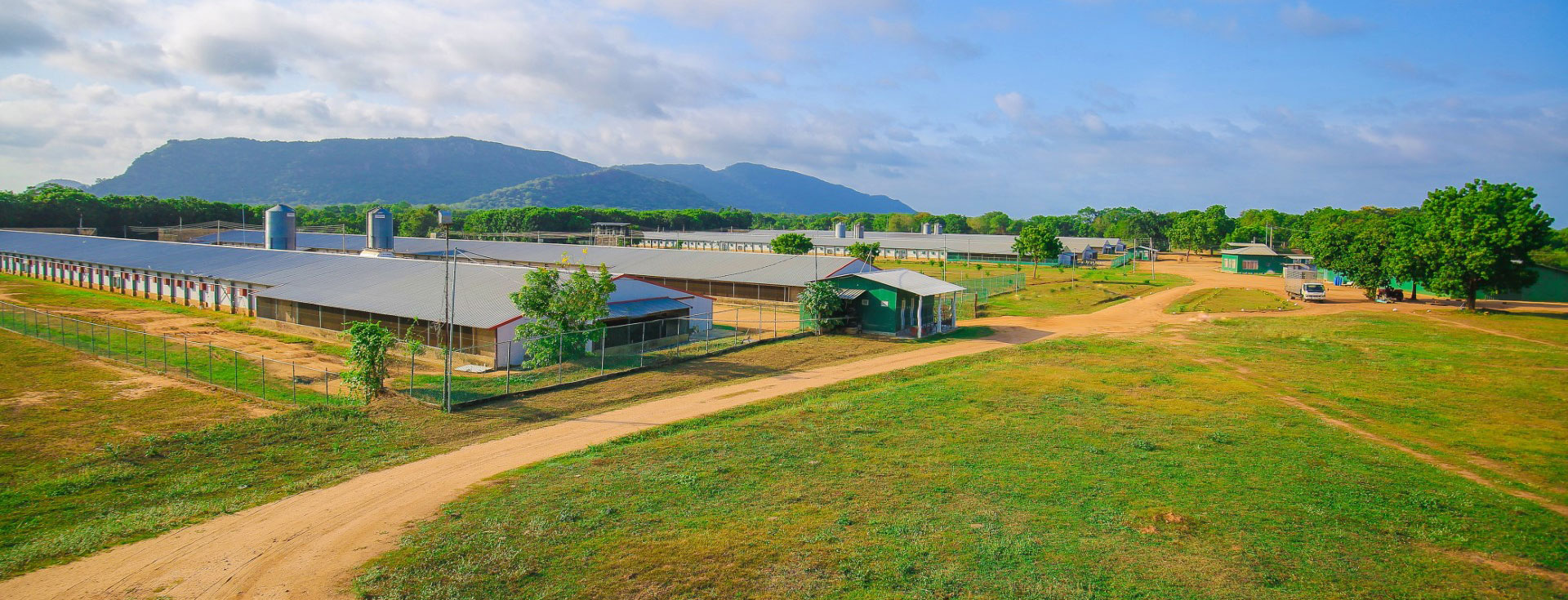 Crysbro: Leading Chicken Manufacturer in Sri Lanka - Our Achievements